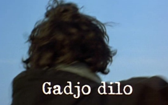 Tony Gatlif's - The Crazy Stranger - Gadjo dilo DVD Review Tony Gatlif The Crazy Stranger Gadjo ...